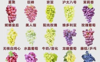 葡萄品种有哪些_哪个品种最甜
