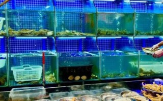 上海菜市场在哪里_上海菜市场几点开门