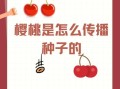 樱桃种子怎么传播_樱桃靠什么自然扩散