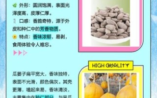 瓜蒌子和吊瓜子一样吗_哪个更好吃