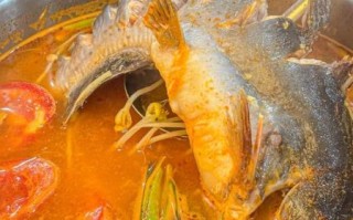 酸菜鱼头火锅怎么做_酸菜鱼头火锅用什么鱼