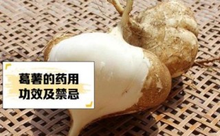 葛薯怎么做好吃_葛薯的家常做法