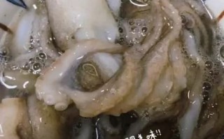 八爪鱼清蒸还是水煮好吃_区别在哪