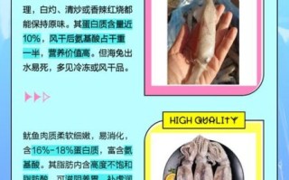 小海兔是什么东西_小海兔和鱿鱼区别