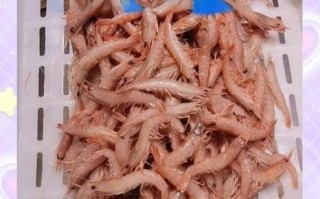 海捕大虾怎么做好吃_海捕大虾的做法步骤