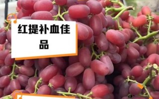 红提子怎么保存_红提子营养价值有哪些