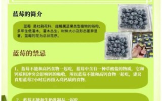 蓝莓的功效与副作用有哪些_蓝莓吃多了会怎样