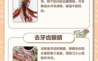 鱿鱼怎么处理内脏_鱿鱼内脏清理步骤