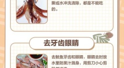 鱿鱼怎么处理内脏_鱿鱼内脏清理步骤