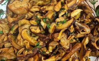 炒鸡腿菇怎么做好吃_鸡腿菇图片大全