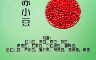 赤小豆的功效与作用_赤小豆怎么吃祛湿最好