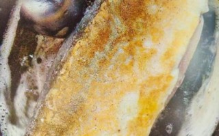 鲑鱼子怎么做好吃_家常做法步骤详解