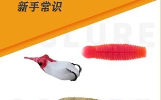 黑鱼怎么钓才容易上钩_黑鱼钓法技巧