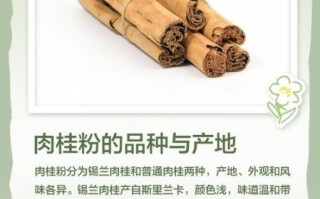 肉桂粉是什么东西_肉桂粉的功效与作用