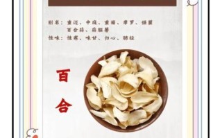 百合怎么吃最好_百合的吃法有哪些