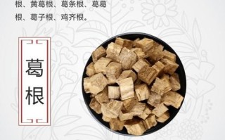 葛根的功效与作用是什么_葛根能降血压吗