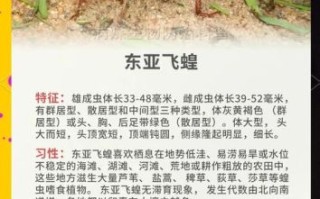 蝗虫能吃吗_蝗虫怎么吃才安全