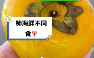 吃了柿子不能吃什么东西_柿子与哪些食物相克