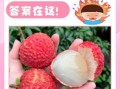 荔枝一天吃多少合适_吃多了会上火吗