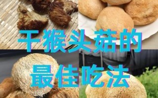 干猴头菇怎么泡发_干猴头菇的做法大全