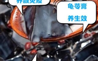 龟苓膏的功效与作用_有啥副作用