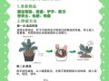 西兰花种植技术_西兰花怎么种才高产