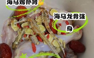 海马炖汤的做法大全_海马汤怎么炖才补