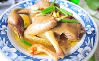 蒸鸽子怎么做才嫩_蒸鸽子需要多长时间