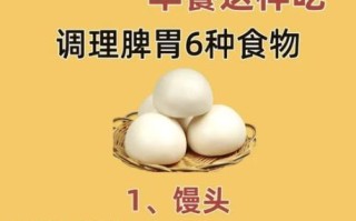 养脾胃的食物有哪些_脾胃虚弱吃什么好