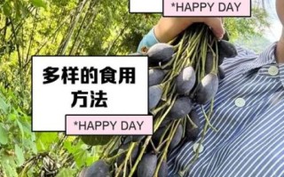 黑橄榄的功效与作用_黑橄榄怎么吃最健康