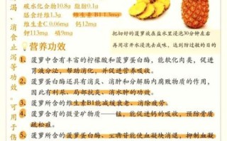 菠萝笔记吧是什么_怎么用