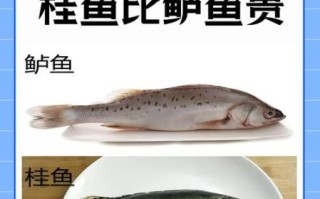 5斤桂鱼多少钱_桂鱼价格行情