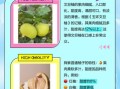 文旦柚怎么挑选_文旦柚和蜜柚的区别