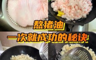 猪板油怎么熬才白_猪板油图片高清实拍