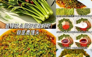 香椿芽怎么腌制好吃不坏_香椿芽腌制保存方法