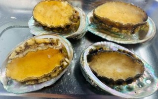 鲍鱼蒸几分钟最佳时间_蒸鲍鱼多久才嫩