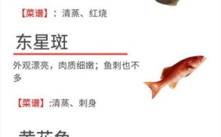 花鲢鱼和白鲢鱼的区别_哪个更好吃