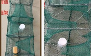 黄鳝笼怎么选_黄鳝笼放什么诱饵最有效