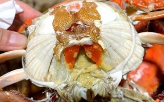 飞蟹什么时候最肥_飞蟹最肥的月份