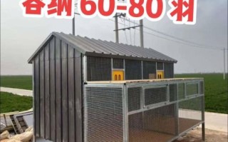 鸽子笼图片_如何挑选合适的鸽舍