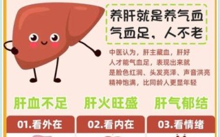 肝不好吃什么调理_肝不好有哪些症状