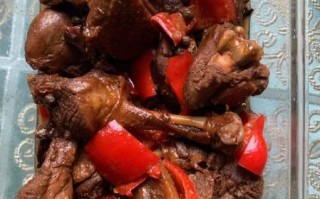 鸭肉怎么做好吃_红烧鸭肉的做法步骤