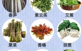 野菜大全名单_哪些野菜可以吃