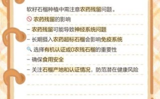 石榴怎么吃最方便_石榴籽要不要嚼