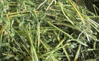 苜蓿干草多少钱一吨_苜蓿干草价格走势