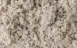 甘蔗渣有什么用途_甘蔗渣可以做什么