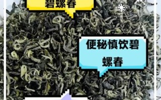 碧螺春适合什么人群喝_哪些人不适合喝碧螺春