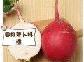 东北圆大红萝卜怎么做好吃_东北圆大红萝卜的家常做法