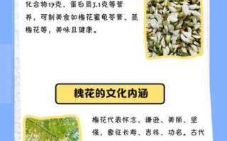 槐花雅称有哪些_古人为何偏爱槐蕊