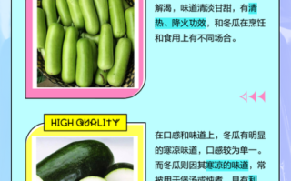 节瓜是冬瓜吗_节瓜和冬瓜的区别